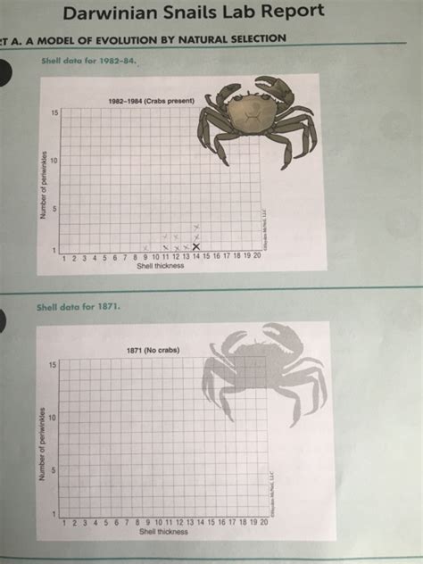 darwinian snails lab report et a a model of
