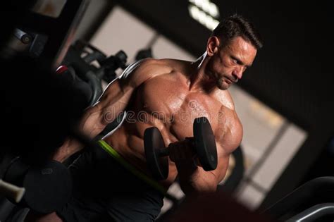 Muscular Fitness Model Exercising With Dumbbells Stock Image Image Of
