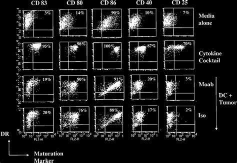Phagocytosis Of Mab Coated Tumor Does Not Trigger Extensive Dc