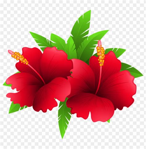 Free Download Hd Png Png Image Of Exotic Flowers And Plant With A