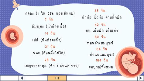 ไตรภูมิพระร่วง เรียนรู้วรรณคดีเก่าแก่จากสมัยสุโขทัย Nockacademy