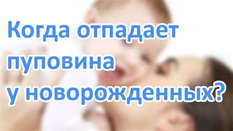 Стадии заживления пупка у новорожденного [26 фотографий]