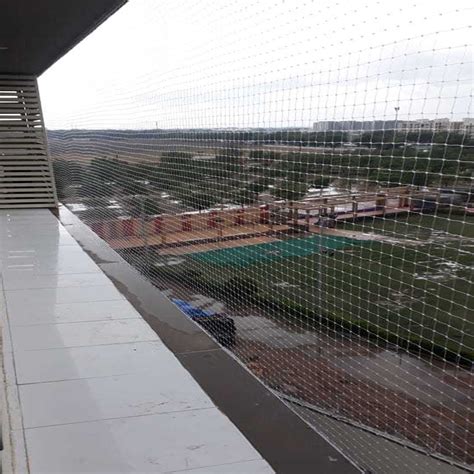 Bird Net Installation Service World Net Enterprise