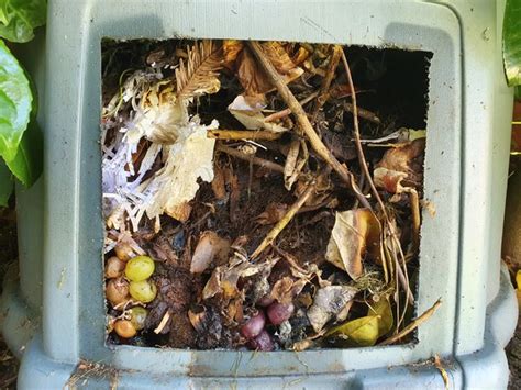Power Of Yuk Diary Of A Compost Heap Week 3 — Hive