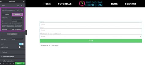 Hiding And Showing Form Fields Based On User Choice In Elementor The Digital Concern