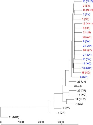 Construction Of Hierarchical Clusters Based On Similarity Samples Are