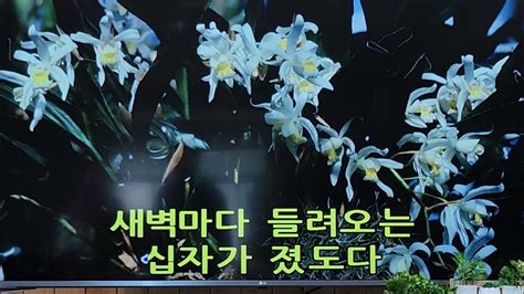 목자의 사랑 일상의 찬양 일천번제 1062번째 Youtube