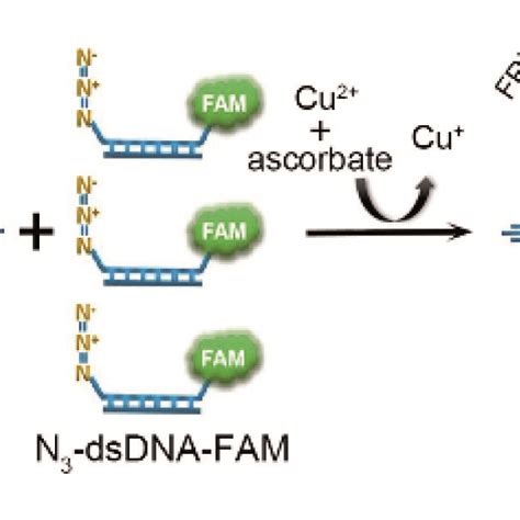 Schematic Illustration Of Gdy Nss Sensing Platform For Sensitive Download Scientific Diagram
