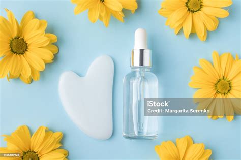 기름이 든 유리병 꽃이 있는 파란색 배경에 얼굴 마사지를 위한 Gua Sha 돌 화장품 얼굴 피부 관리 및 스파 자연 치료
