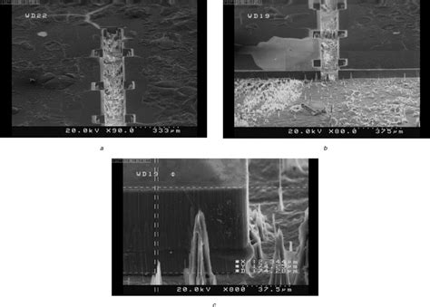 Appearance Of Grass‐like Features At The Bottom Surfaces Of The Etched