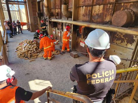 Pf Incinera Toneladas De Drogas Em Mg — Polícia Federal