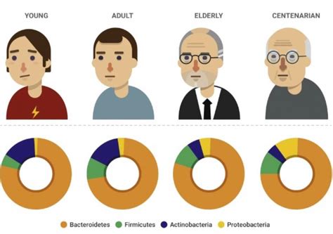 The Role Of Probiotics In The Prevention And Management Of Age Related