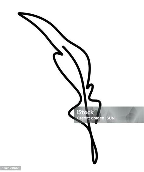 흰색에 선 그리기로 추상 깃털의 실루엣 갈매기에 대한 스톡 벡터 아트 및 기타 이미지 갈매기 개념 깃털 Istock