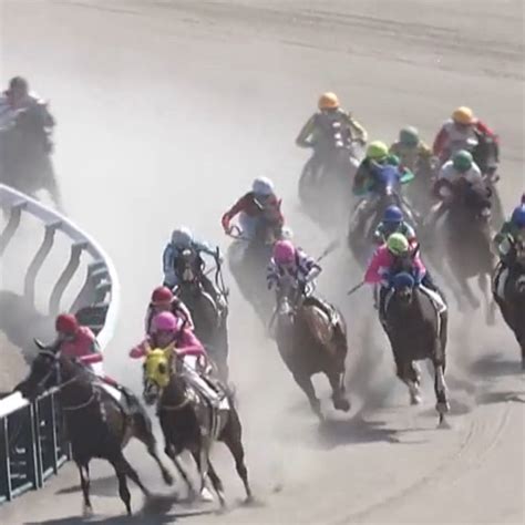 武蔵野s的中！ 競馬予想師tacyの★目指せ！馬券生活