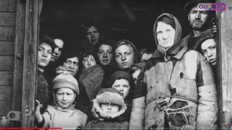 Немцы переселенцы в Германии У российских немцев будущего в России нет Наша история