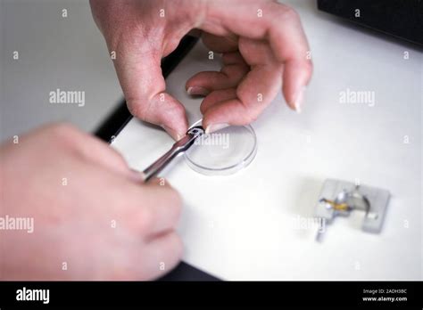 Atomic Force Microscope Afm Sample Holder Being Prepared By A