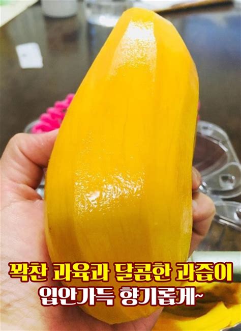 태국황제망고 4kg