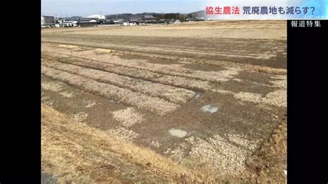 農薬・肥料使わず、土も耕さない、多様な作物を育てる「協生農法」の可能性とは【報道特集】 Tbs News Dig 5ページ