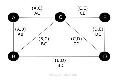 Introduction To Graphs Stemkb Com