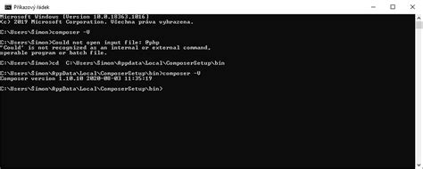 The Command Interpreter Did Not Run Correctly · Issue 123 · Composerwindows Setup · Github