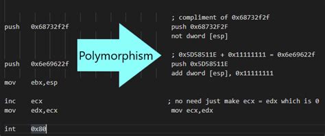 Linuxx86readfile Analyzing The Shellcode Will Read The File By