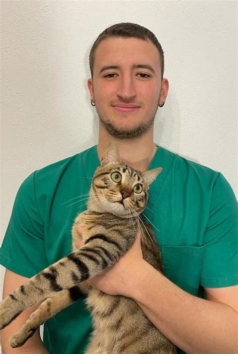 Miau On Twitter