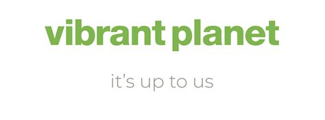 From Netflix To Vibrant Planet Allison Wolff