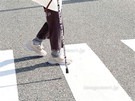 杖をついて横断歩道を渡る高齢者の足元の写真素材 209058427 イメージマート