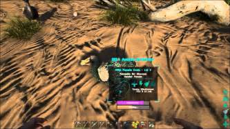 Ark Survival Evolved How To Tame A Dodo Bird Youtube