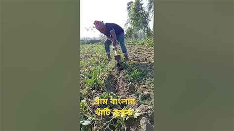 গ্রামের প্রকৃত কৃষক এরাই Youtube