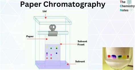 Paper Chromatography