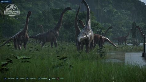 Zoom Background Images Dinosaur At Raymond Terrell Blog