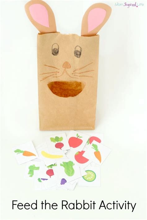 Feed The Rabbit Activity