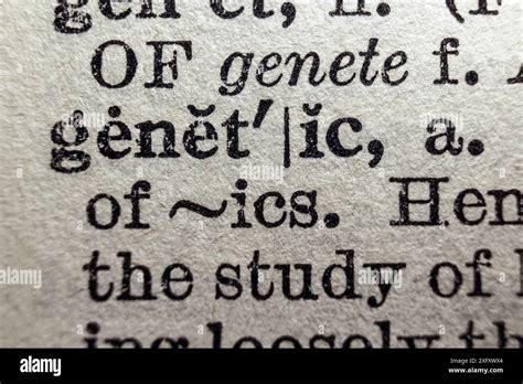Word Genetic On Dictionary Page Macro Close Up Stock Photo Alamy