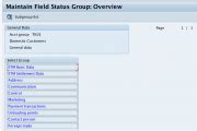 Define Customer Account Groups In SAP
