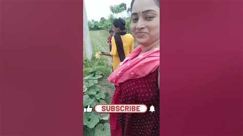 সাবাই মিলে খুব মজা করলাম মাঠে তারপর কি বিপদ দেখ Youtube