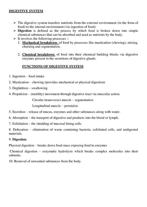 Digestive System Revision Digestive System The Digestive System