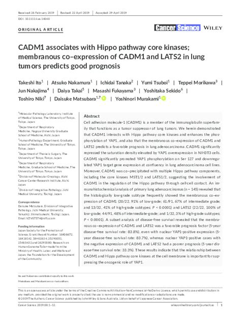 Pdf Cadm1 Associates With Hippo Pathway Core Kinases Membranous Co