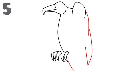 How To Draw A Vulture Easy Drawing Tutorial