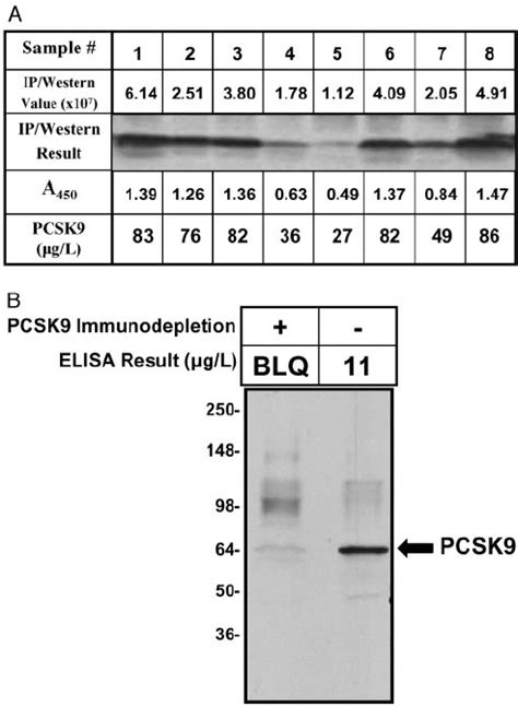 Anti Pcsk9 Antibody Orientation Is Important In Elisa Design