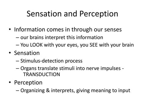 PPT Exploring Sensation And Perception Key Concepts In Psychology