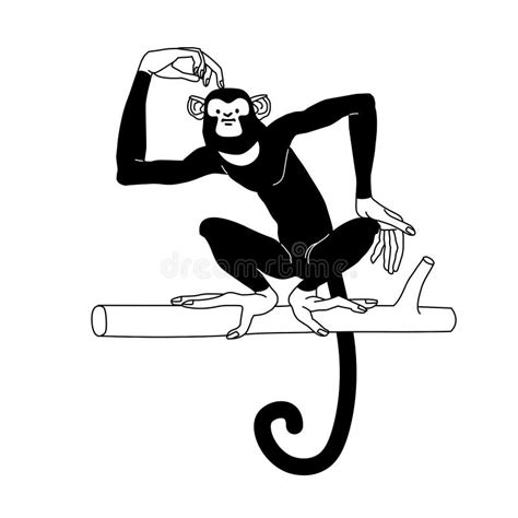 可爱的猴子蹲在树枝上挠挠头 向量例证 插画 包括有 背包 逗人喜爱 图画 本质 首要 认为 233378658