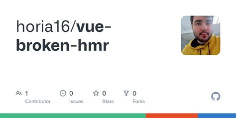 Github Horia16vue Broken Hmr