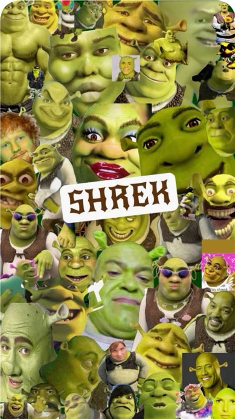 Pin By 🤍 Lainey 🤍 On ♡ Shrek ♡ My ♡ Princess ♡ In 2024 Shrek Funny