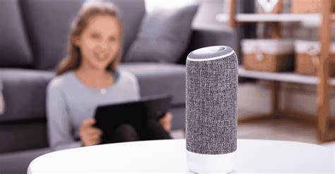 Is There Any Offline Voice Assistant For Home New House Project