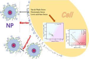 Colloids And Surfaces B Biointerfaces X Mol