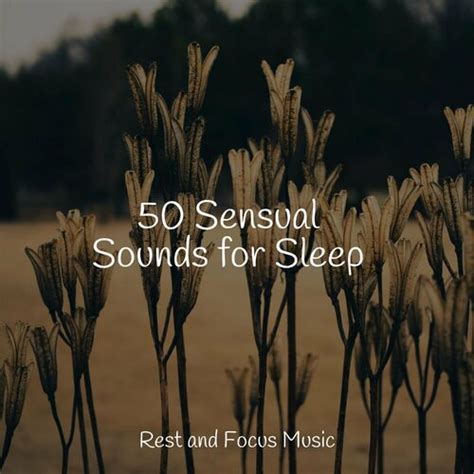 50 Sensual Sounds For Sleep By Música Zen Relaxante Reviews And Ratings