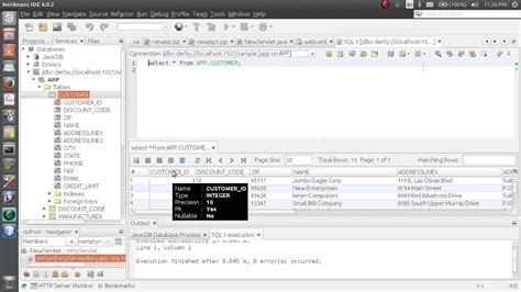 How To Create And Insert Into A Databse On Netbeans Derby Youtube