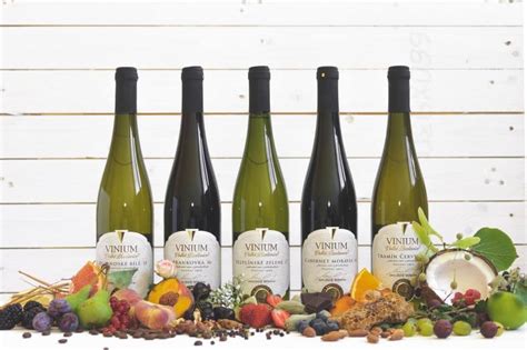 VINIUM Exclusive výborná přívlastková vína VINIUM Velké Pavlovice