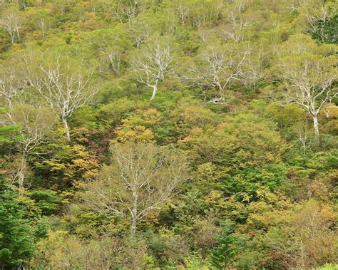天気の変わり目 槍沢ロッヂ 槍ヶ岳山荘グループ